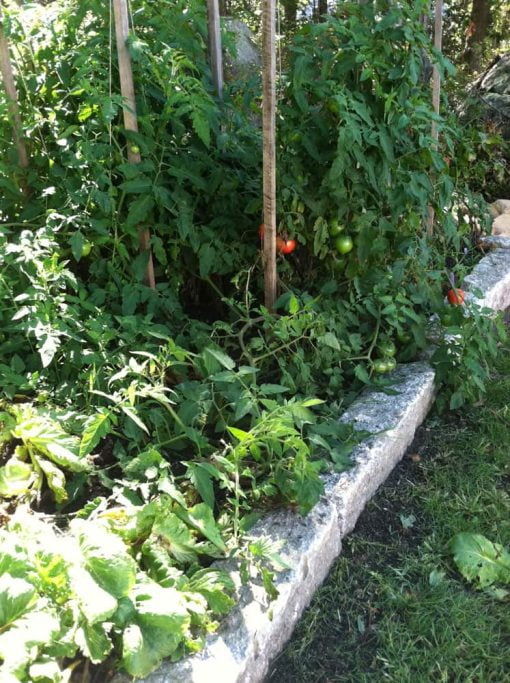 Reclaimed Granite Curbing - Cape Cod MA CT Boston