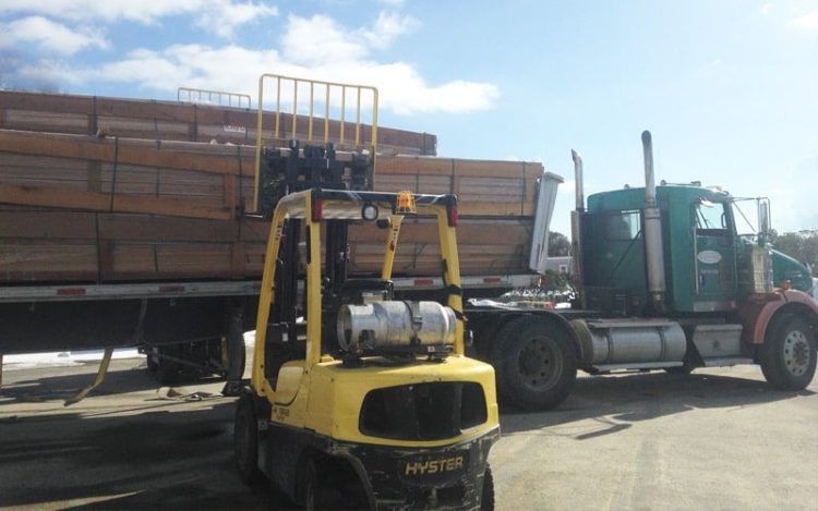 Pickwick Pine Paneling Tongue and Groove Premium