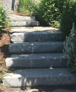 Tumbled Bluestone Steps Stone | Stonewood Products