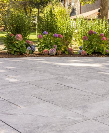 Sea Shell Travercore | Stonewood Products